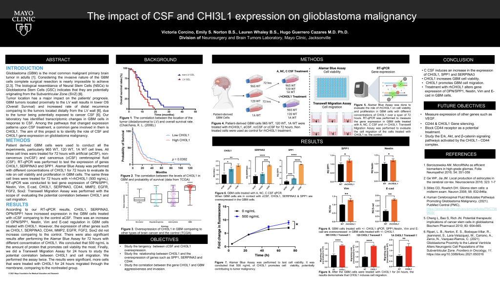 Meet the winners of the GMiS 2021 Research Poster Competition - Great ...